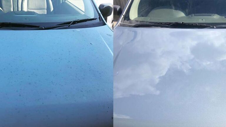 Ford Bonnet Paint Correction - What's the difference??